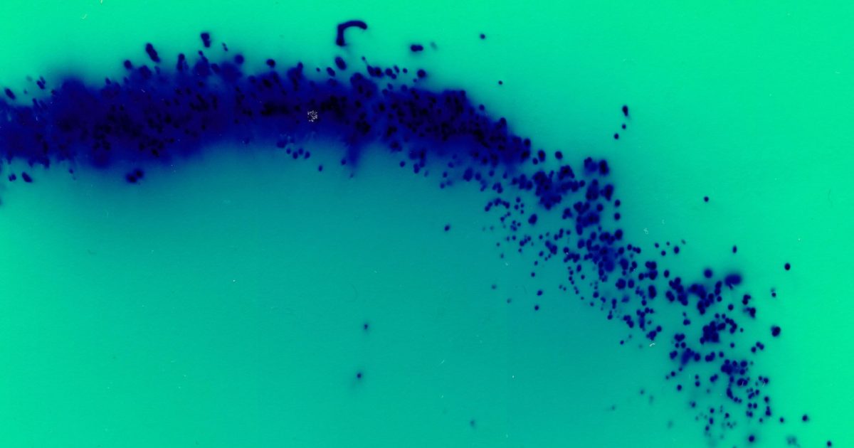 Breath in Visual Art - Life Of Breath